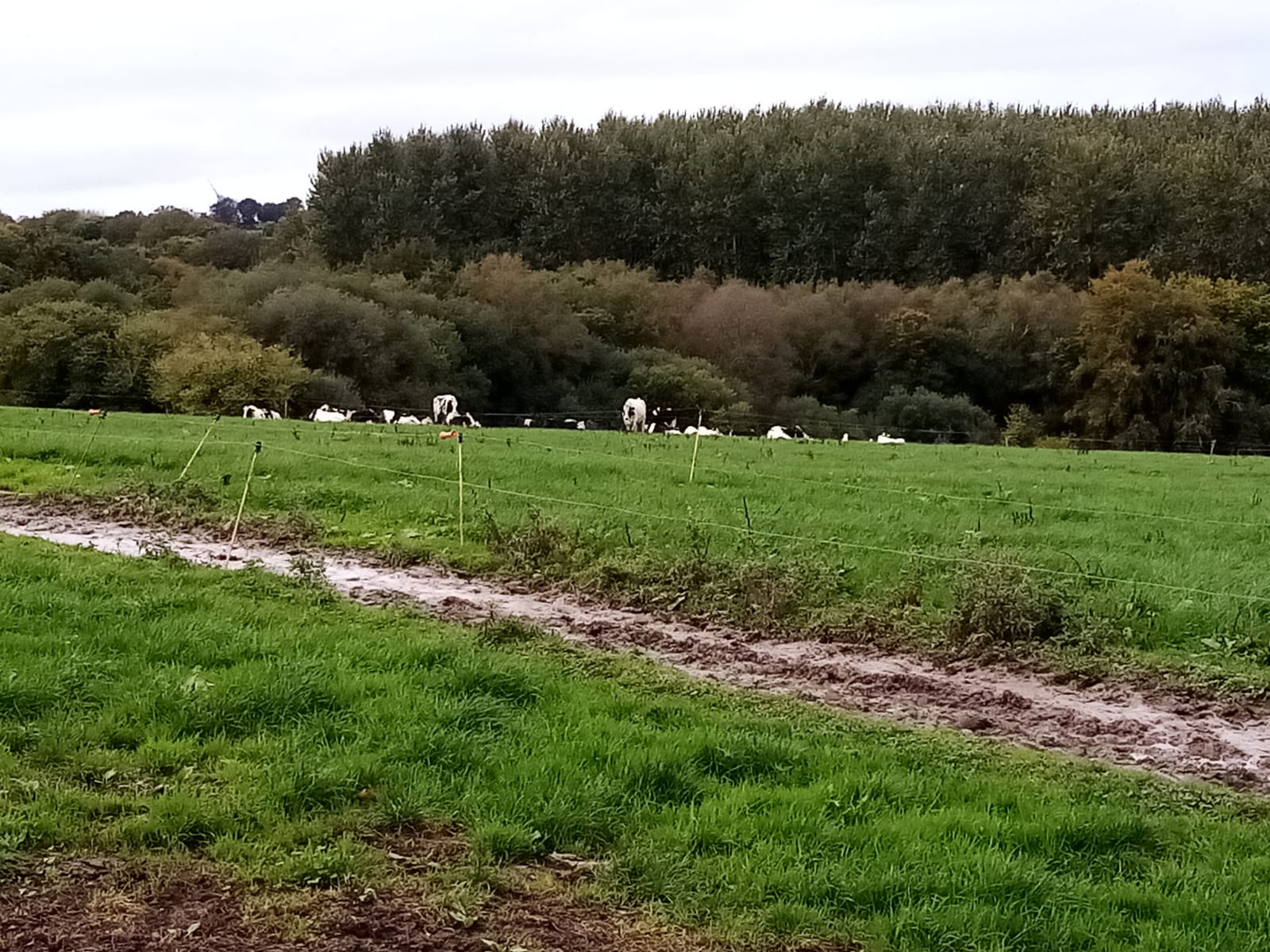 Les Term STAV en visite