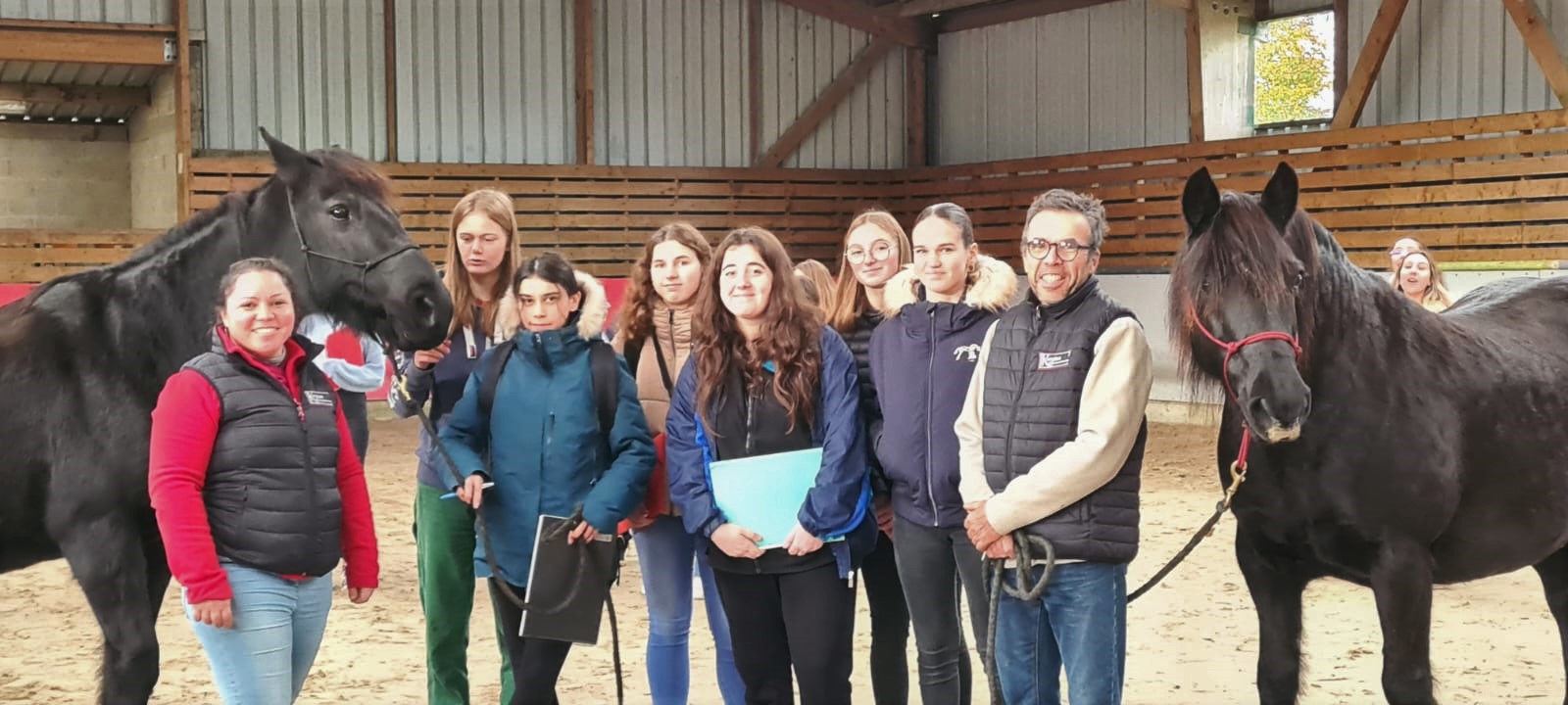 Pointage équin 2023